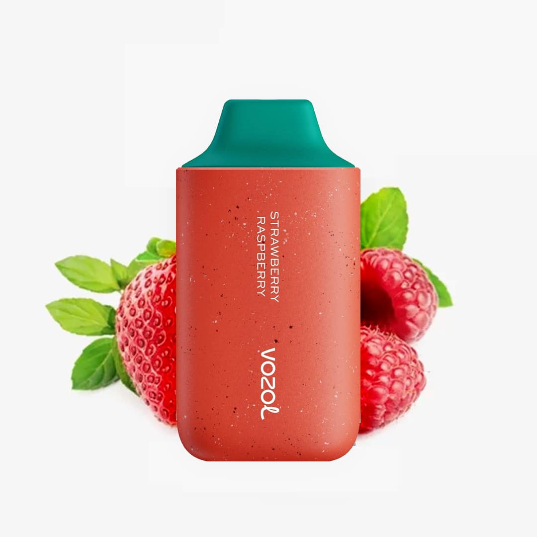Vozol Star 6000 Puffs Strawberry Raspberry – vapevilla